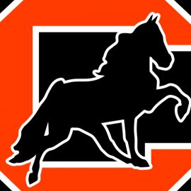 Cascade 2019 Champion Football Fundraiser | Wefund4u